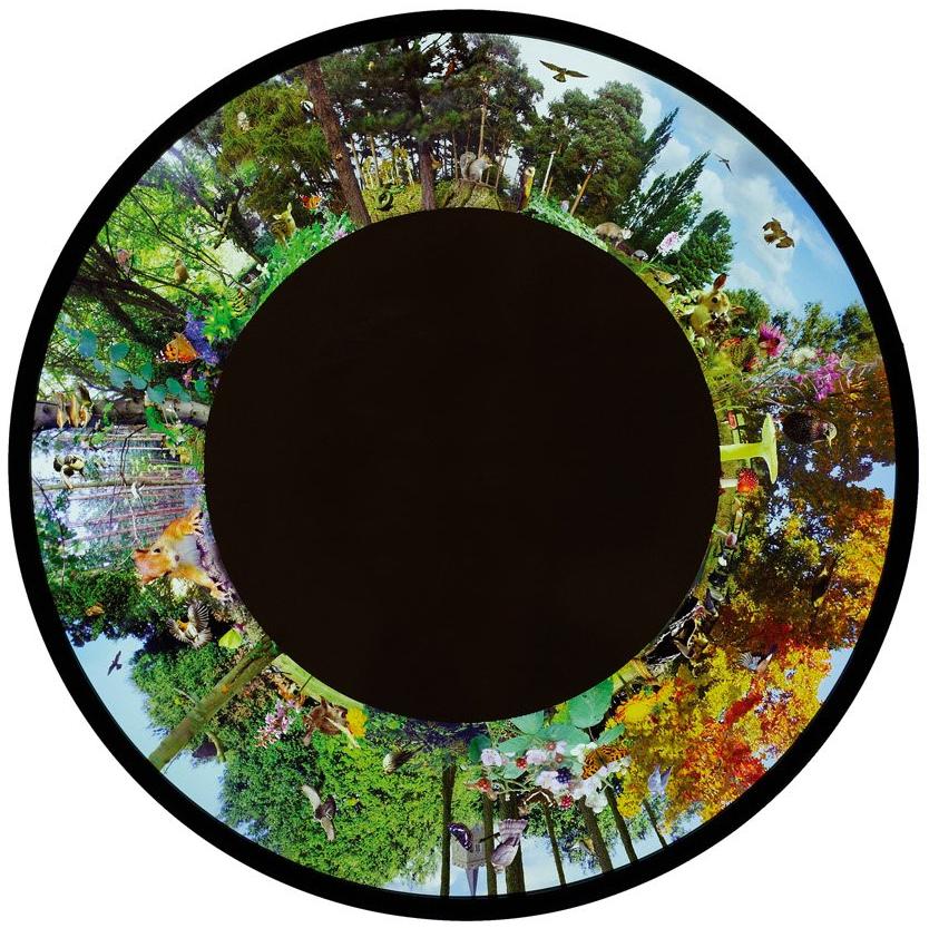 Max Effect Pattern Wheels | Sensory Room Ideas - Mike Ayres Design